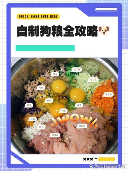 简单便宜狗粮怎么做_自制狗粮省钱技巧-第1张图片-山城妙识