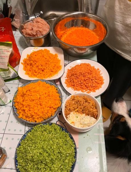 简单便宜狗粮怎么做_自制狗粮省钱技巧-第2张图片-山城妙识