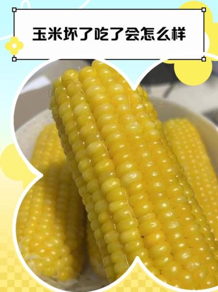 玉米馊了还能吃吗_玉米变质多久会中毒-第3张图片-山城妙识 玉米馊了还能吃吗_玉米变质多久会中毒-第3张图片-山城妙识