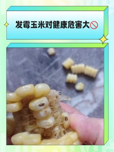 玉米馊了还能吃吗_玉米变质多久会中毒-第1张图片-山城妙识 玉米馊了还能吃吗_玉米变质多久会中毒-第1张图片-山城妙识
