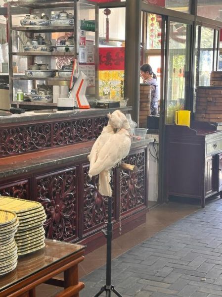 蟹黄包子馅怎么做_蟹黄包子馅配方比例-第1张图片-山城妙识