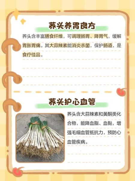 荞头什么时候种最合适_荞头种植最佳时间-第2张图片-山城妙识 荞头什么时候种最合适_荞头种植最佳时间-第2张图片-山城妙识