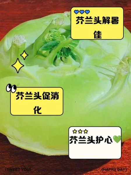 芥兰头怎么做好吃_芥兰头营养价值-第1张图片-山城妙识