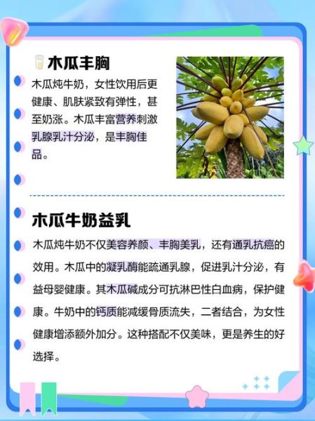 木瓜炖牛奶的功效与禁忌人群_孕妇能吃吗-第2张图片-山城妙识 木瓜炖牛奶的功效与禁忌人群_孕妇能吃吗-第2张图片-山城妙识