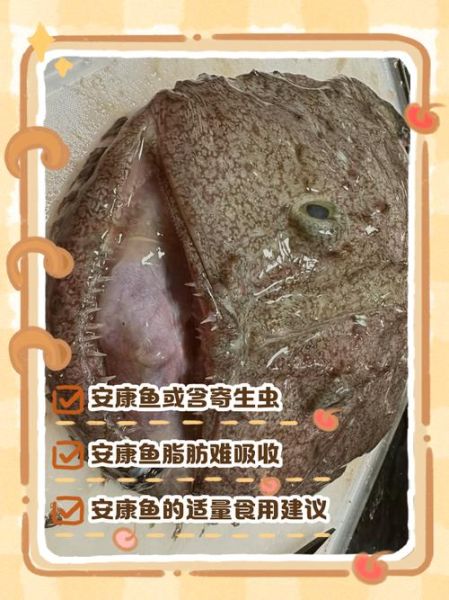 安康鱼雄鱼寄生_安康鱼雄鱼为什么变小-第1张图片-山城妙识