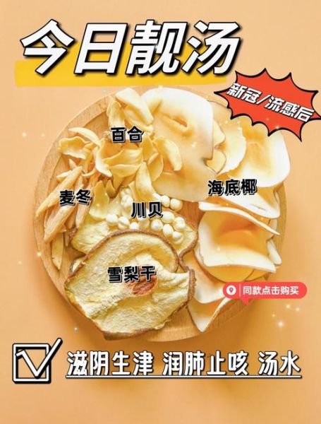 海底椰片的功效与作用_海底椰片怎么吃润肺止咳-第3张图片-山城妙识 海底椰片的功效与作用_海底椰片怎么吃润肺止咳-第3张图片-山城妙识