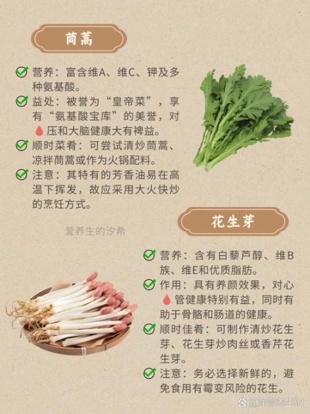 芽菜的功效与作用_芽菜怎么吃最营养-第1张图片-山城妙识 芽菜的功效与作用_芽菜怎么吃最营养-第1张图片-山城妙识