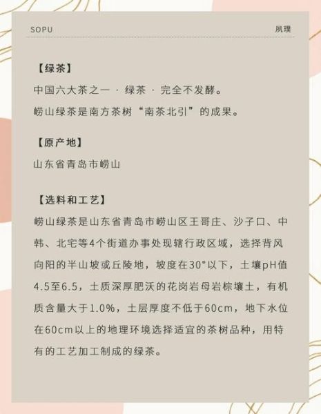 崂山绿茶多少钱一斤_崂山绿茶怎么泡才正宗-第2张图片-山城妙识