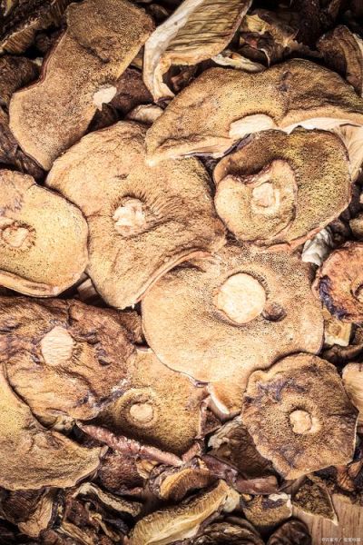 野生干蘑菇怎么泡发_野生干蘑菇怎么做好吃-第2张图片-山城妙识