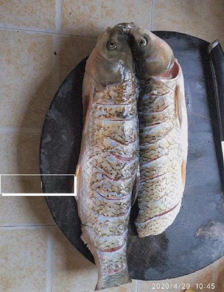 家常锡纸烤鱼怎么做_锡纸烤鱼用烤箱还是空气炸锅-第1张图片-山城妙识