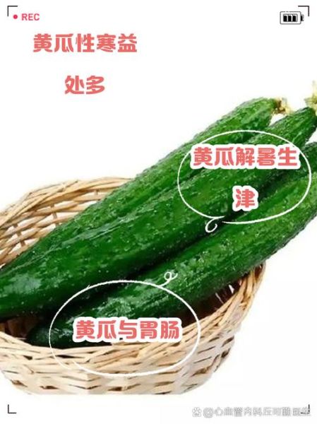 青瓜的功效与作用禁忌_青瓜不能和什么一起吃-第3张图片-山城妙识