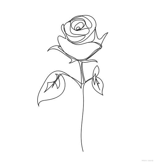 玫瑰花怎么画好看_初学者也能掌握的玫瑰画法-第1张图片-山城妙识