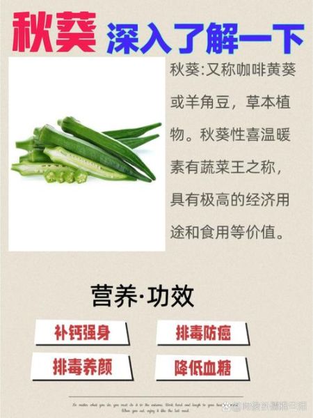 吃秋葵的好处_秋葵的营养价值-第1张图片-山城妙识