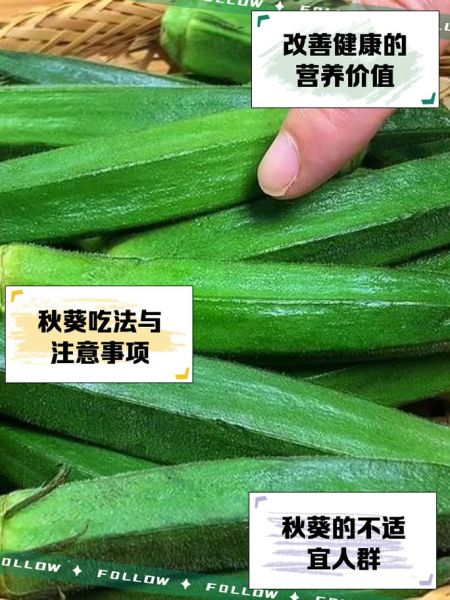 吃秋葵的好处_秋葵的营养价值-第2张图片-山城妙识