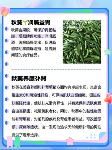 吃秋葵的好处_秋葵的营养价值-第3张图片-山城妙识