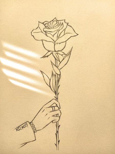 玫瑰花怎么画好看_初学者也能掌握的玫瑰画法-第2张图片-山城妙识