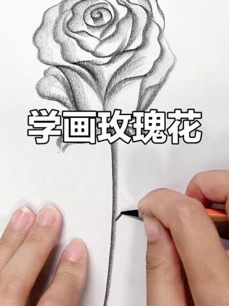 玫瑰花怎么画好看_初学者也能掌握的玫瑰画法-第3张图片-山城妙识