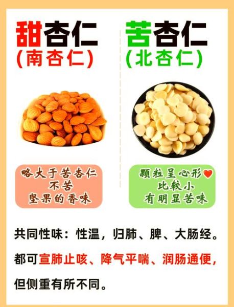 杏仁止咳平喘怎么吃_苦杏仁与甜杏仁区别-第1张图片-山城妙识 杏仁止咳平喘怎么吃_苦杏仁与甜杏仁区别-第1张图片-山城妙识