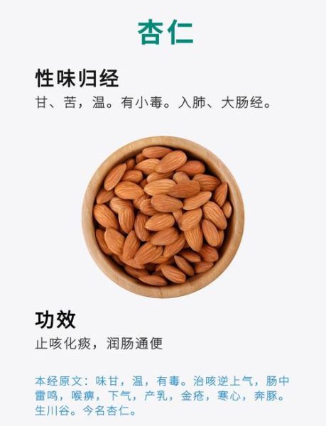 杏仁止咳平喘怎么吃_苦杏仁与甜杏仁区别-第3张图片-山城妙识 杏仁止咳平喘怎么吃_苦杏仁与甜杏仁区别-第3张图片-山城妙识