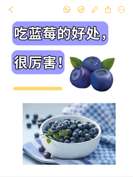 蓝莓的功效与作用_蓝莓能护眼吗-第1张图片-山城妙识