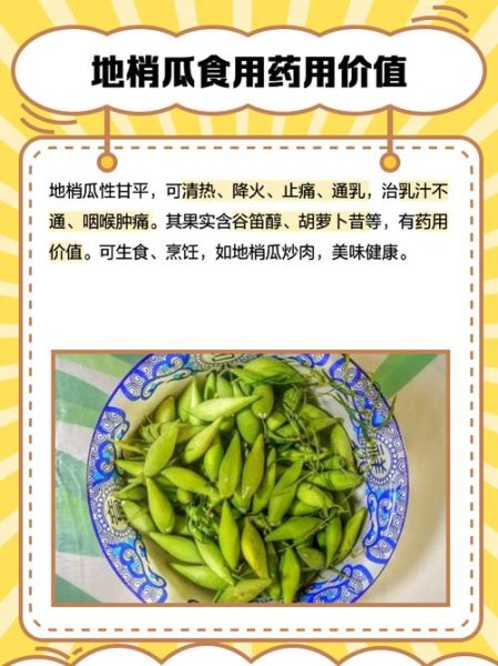 梢瓜的功效与作用_梢瓜怎么吃最养生-第1张图片-山城妙识 梢瓜的功效与作用_梢瓜怎么吃最养生-第1张图片-山城妙识