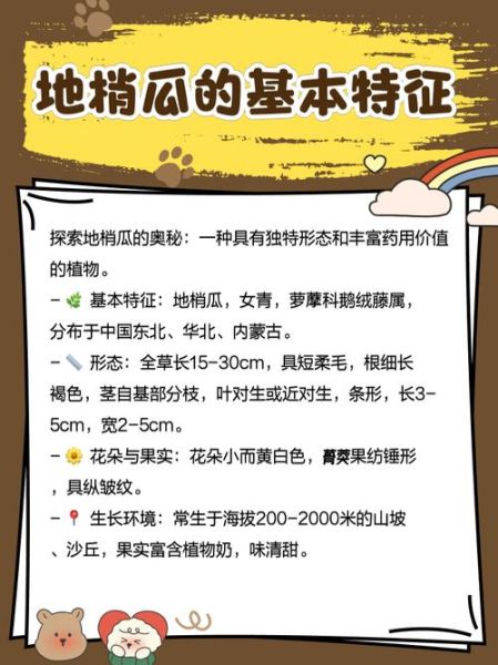 梢瓜的功效与作用_梢瓜怎么吃最养生-第2张图片-山城妙识 梢瓜的功效与作用_梢瓜怎么吃最养生-第2张图片-山城妙识