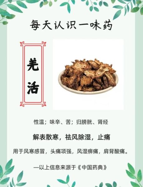 羌活的功效与作用禁忌_什么人不能吃羌活-第2张图片-山城妙识 羌活的功效与作用禁忌_什么人不能吃羌活-第2张图片-山城妙识