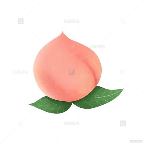 桃子卡通图片怎么画_桃子卡通图片素材哪里找-第3张图片-山城妙识