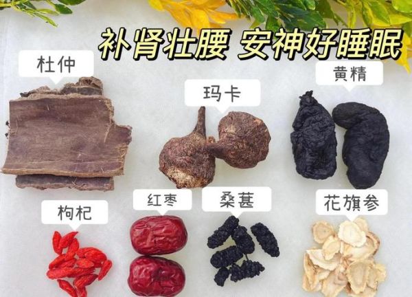 男人补肾最好炖什么汤_男人补肾汤怎么炖最补-第1张图片-山城妙识