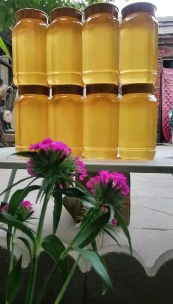哪种花的蜂蜜最好_槐花蜜和椴树蜜哪个更优-第3张图片-山城妙识