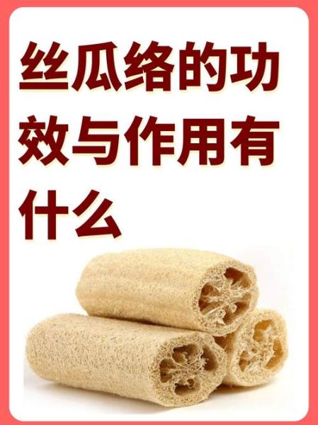 酒店丝瓜络是干嘛用的_丝瓜络在酒店有哪些用途-第1张图片-山城妙识