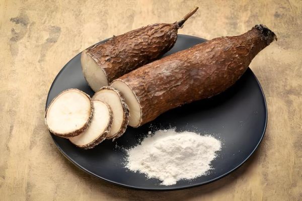 木薯粉是什么东西_木薯粉和红薯粉的区别-第3张图片-山城妙识 木薯粉是什么东西_木薯粉和红薯粉的区别-第3张图片-山城妙识