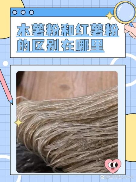 木薯粉是什么东西_木薯粉和红薯粉的区别-第2张图片-山城妙识 木薯粉是什么东西_木薯粉和红薯粉的区别-第2张图片-山城妙识