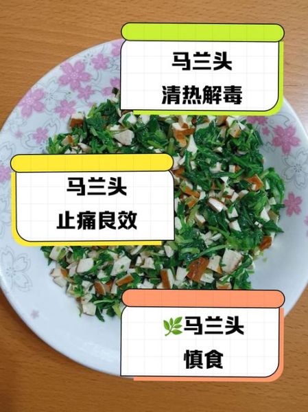 马兰头副作用有哪些_什么人不能吃马兰头-第3张图片-山城妙识