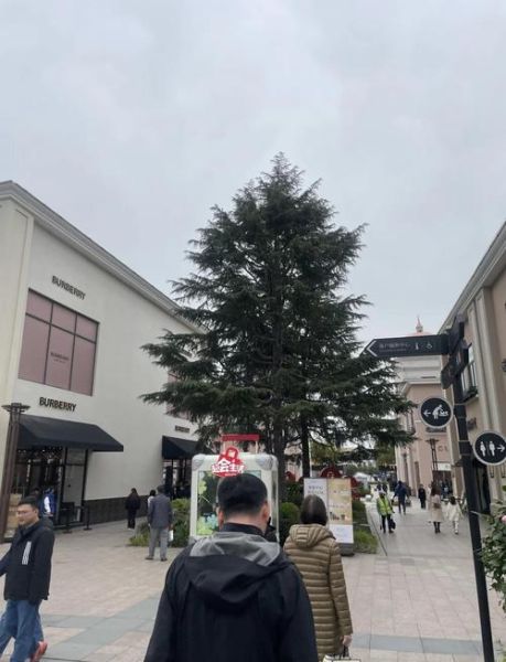 上海青浦奥特莱斯撤柜了吗_还能逛吗-第2张图片-山城妙识