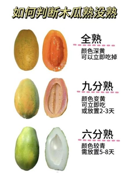 吃什么木瓜丰胸效果最好_木瓜丰胸怎么吃才有效-第2张图片-山城妙识