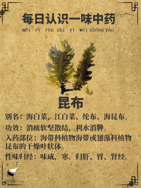 昆布的功效与作用_昆布禁忌人群有哪些-第2张图片-山城妙识 昆布的功效与作用_昆布禁忌人群有哪些-第2张图片-山城妙识