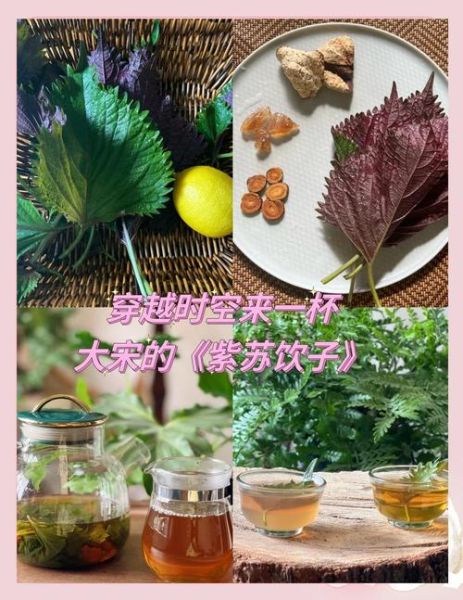 紫苏叶怎么做好吃_紫苏叶的家常做法-第1张图片-山城妙识