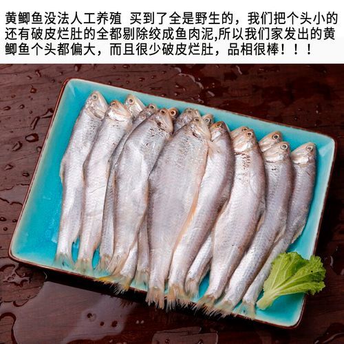 黄鲫子鱼多少钱一斤_黄鲫子鱼怎么做好吃-第2张图片-山城妙识