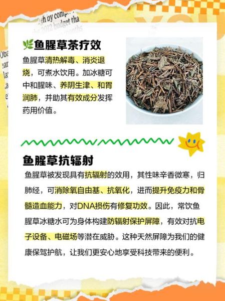 鱼腥草泡水喝的功效_鱼腥草泡水能天天喝吗-第1张图片-山城妙识