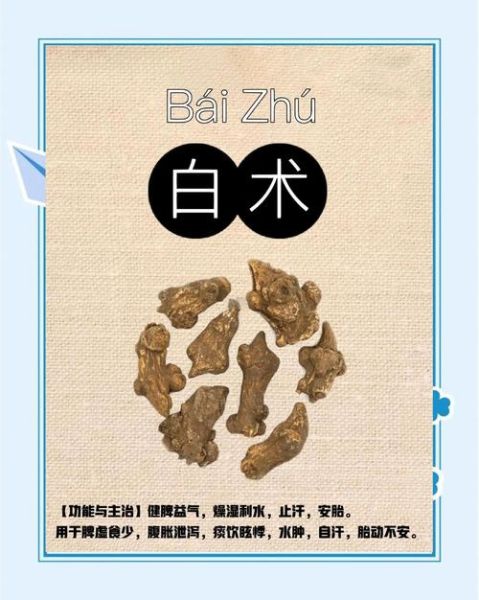 白术禁忌人群有哪些_三种人坚决不能吃白术-第1张图片-山城妙识