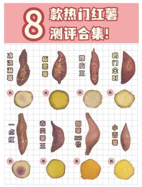 番薯和红薯一样吗_区别与营养价值-第1张图片-山城妙识