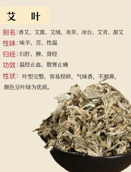 艾叶草的功效与作用_艾叶草怎么用效果最好-第1张图片-山城妙识