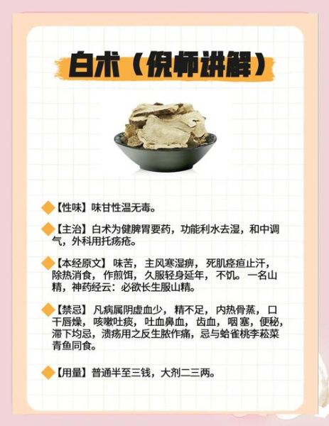 白术禁忌人群有哪些_三种人坚决不能吃白术-第3张图片-山城妙识