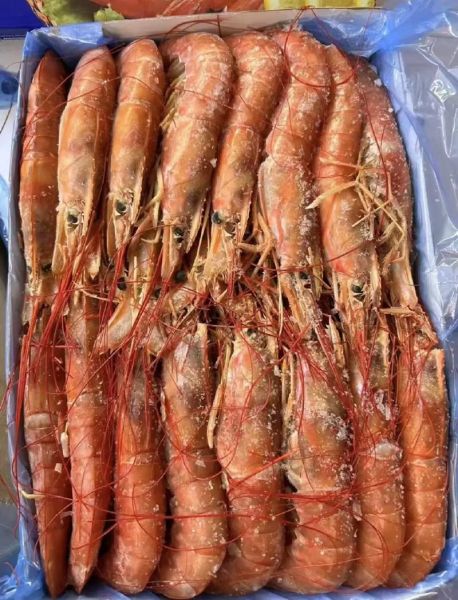 阿根廷红虾多少钱一盒_阿根廷红虾价格为什么差异大-第1张图片-山城妙识 阿根廷红虾多少钱一盒_阿根廷红虾价格为什么差异大-第1张图片-山城妙识