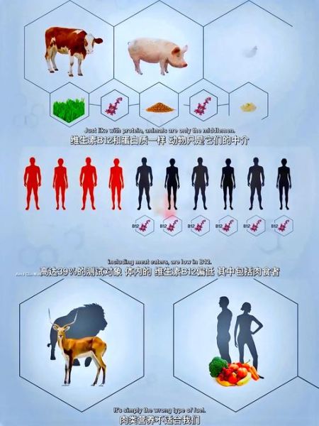 素食者联盟纪录片讲了什么_素食者联盟纪录片可信吗-第1张图片-山城妙识