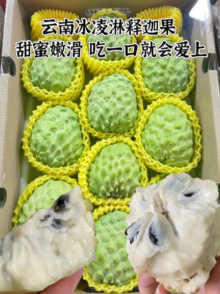 番荔枝什么人不能吃_孕妇可以吃吗-第1张图片-山城妙识