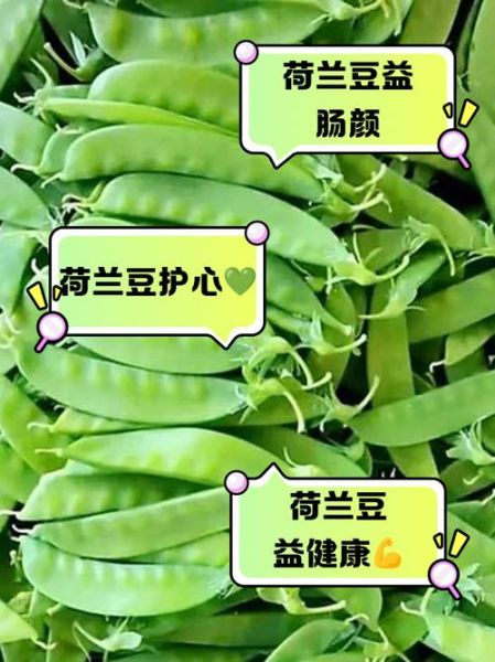 荷兰豆的营养价值_荷兰豆适合减肥吗-第2张图片-山城妙识