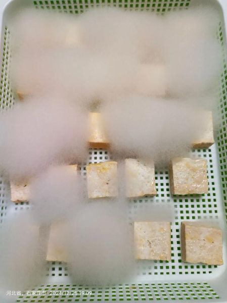 腐乳是什么菌发酵_腐乳发酵菌种有哪些-第3张图片-山城妙识