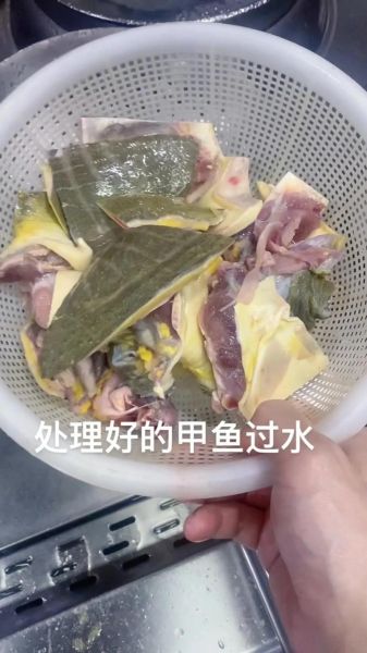 鳖的做法视频教程_如何炖鳖汤不腥-第1张图片-山城妙识